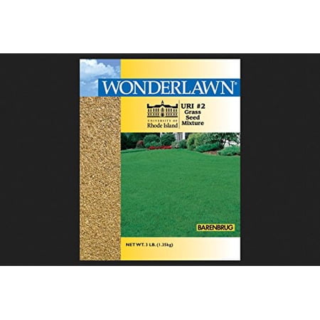 BARENBRUG URI 2 LAWN SEED MIX 3LB (Pack of 1) | Walmart Canada