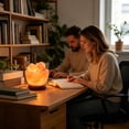 Natural Himalayan Salt Rock Lamp With Wood Base Auto Shade With Auto ...
