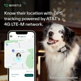 Whistle Switch Smart Collar Kit - GPS location, Health & Fitness ...