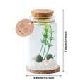 erfcxs Glass Terrarium Kit With Cylinder Vase Unique Decorative Desktop ...