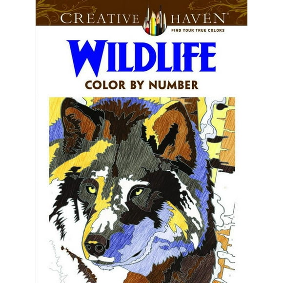 Color By Number Books for Adults