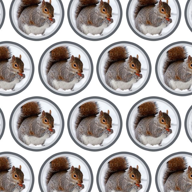 Squirrel Eating in Winter Premium Gift Wrap Wrapping Paper Roll ...