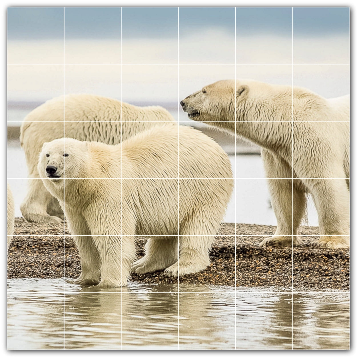Picture-Tiles.com: Bear Ceramic Tile Wall Mural WAL500121-66XL. 72"W x ...