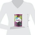 Great Value Sun-Dried Raisins Canister, 20 oz, 567g, Healthy Fruit ...