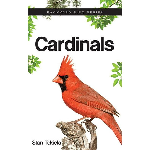 Backyard Bird: Cardinals (Paperback) - Walmart.com - Walmart.com