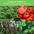 20 Pack Vegetable Starter Kit Seed Vault - Beginner Friendly Heirloom ...