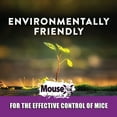 EcoClear Products MouseX Ready Trays Safe Indoor Outdoor Mouse and Rat Bait 4pk - Walmart.com