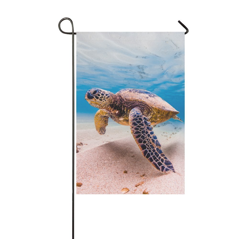 MYPOP Underwater Sea Turtle Garden Flag House Banner 12 x 18 inch ...