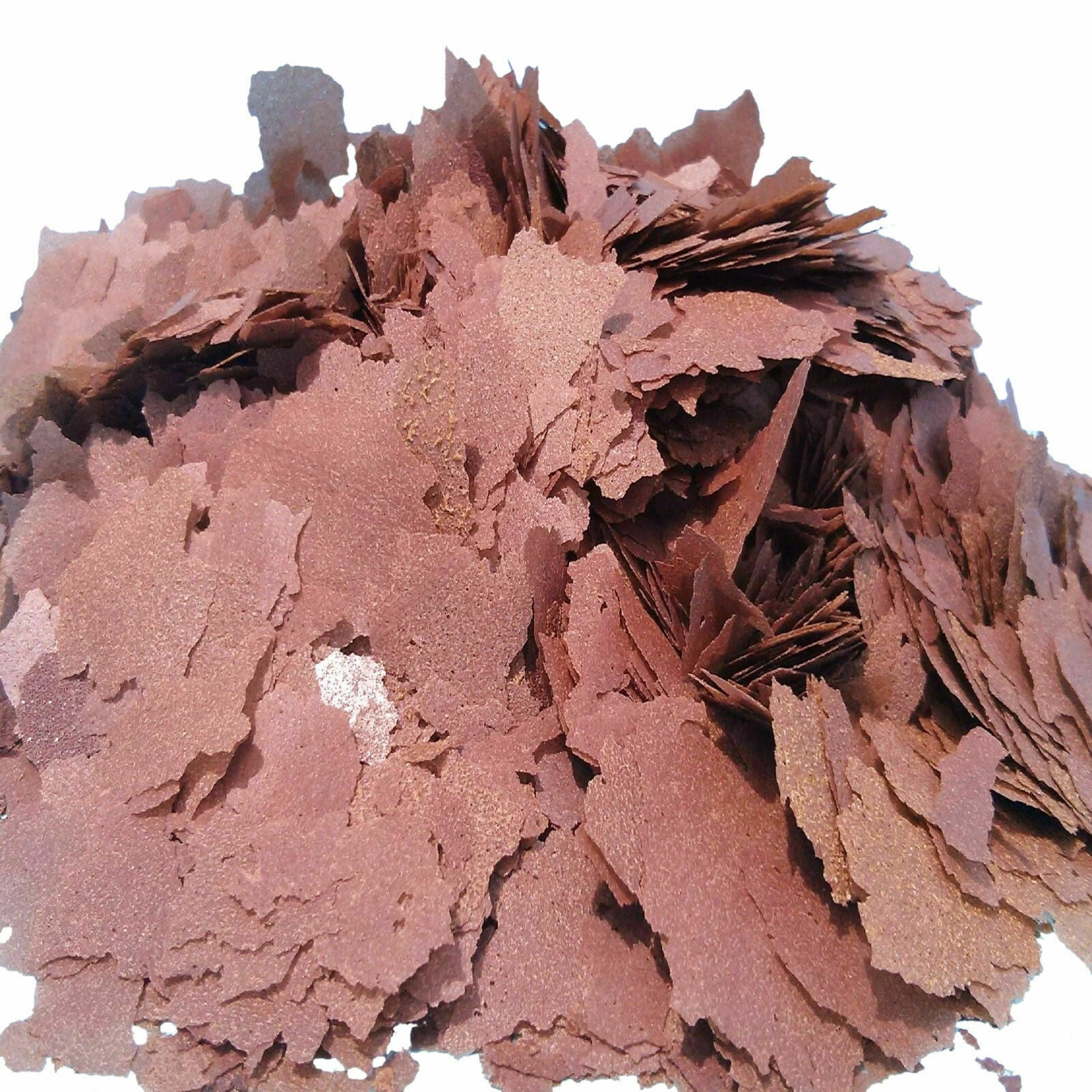 5-lbs Premium Flakes, Your Choice, FREE 12-Type Blackworm/Color Pellets ...