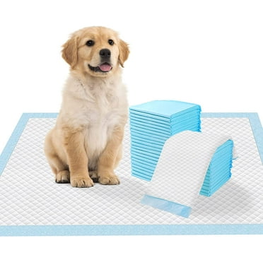 PICO Potty Wall - Vertical Pee Pad Holder - Protection from Dogs that ...