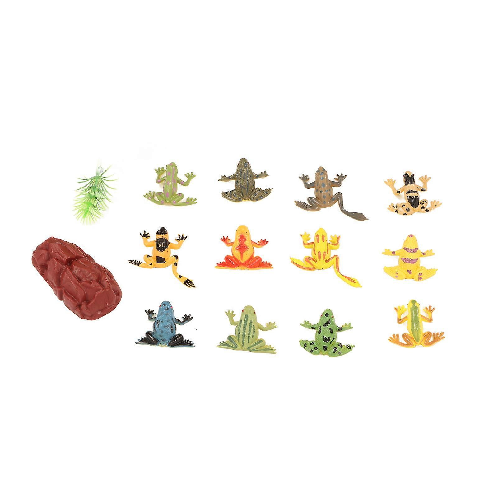 12PCS PVC Frogs Model Amphibian Teaching Toy Ornament Set with Fake ...