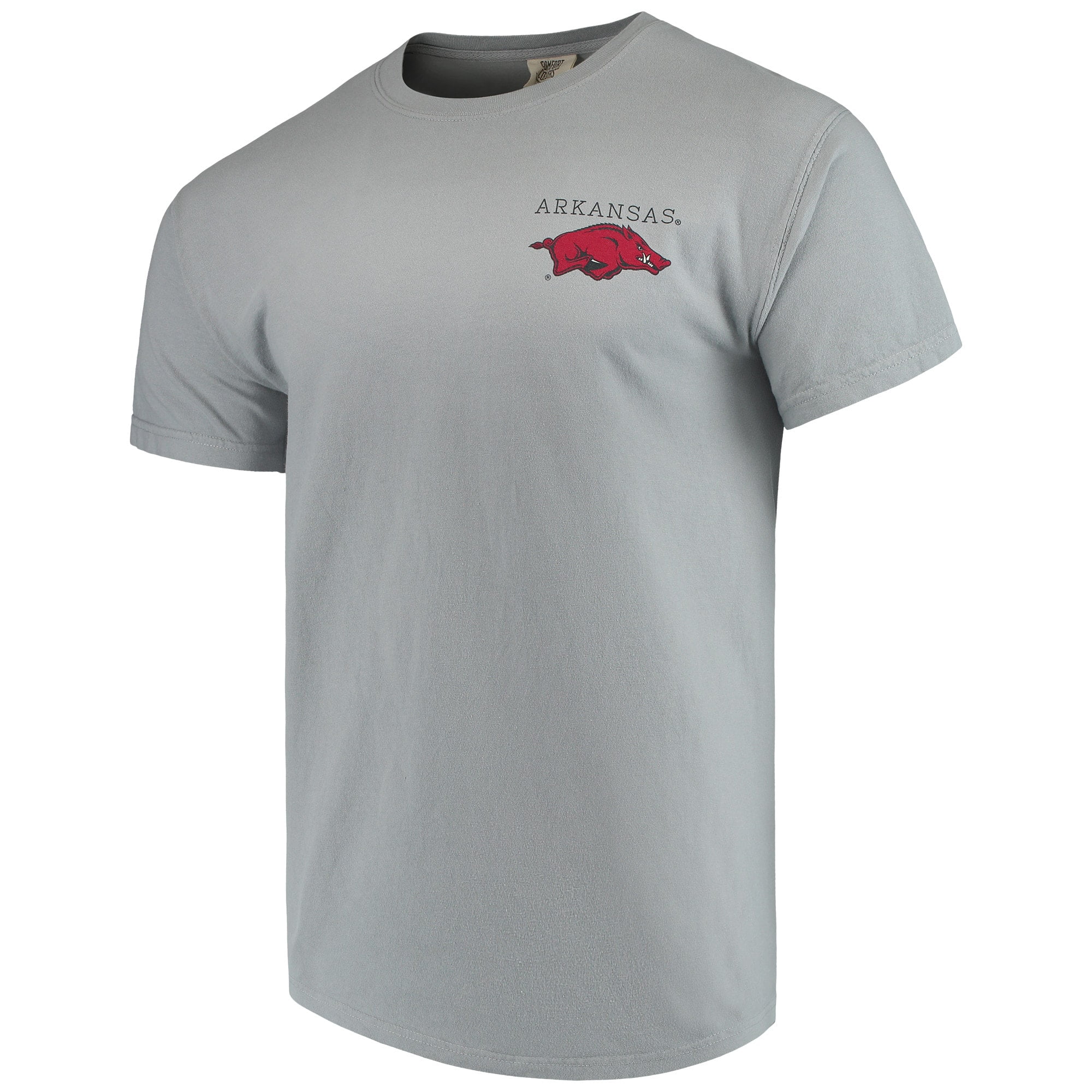Men's Gray Arkansas Razorbacks Comfort Colors Campus Scenery T-Shirt ...