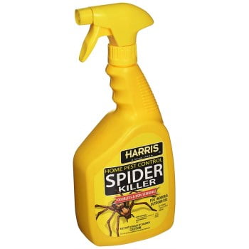 Pest Control Centipedes