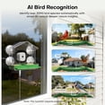 Bird Feeder with Window Camera, Camera for Window Viewing, AI ...