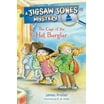 Jigsaw Jones: The Case of the Mummy Mystery (Paperback) - Walmart.com
