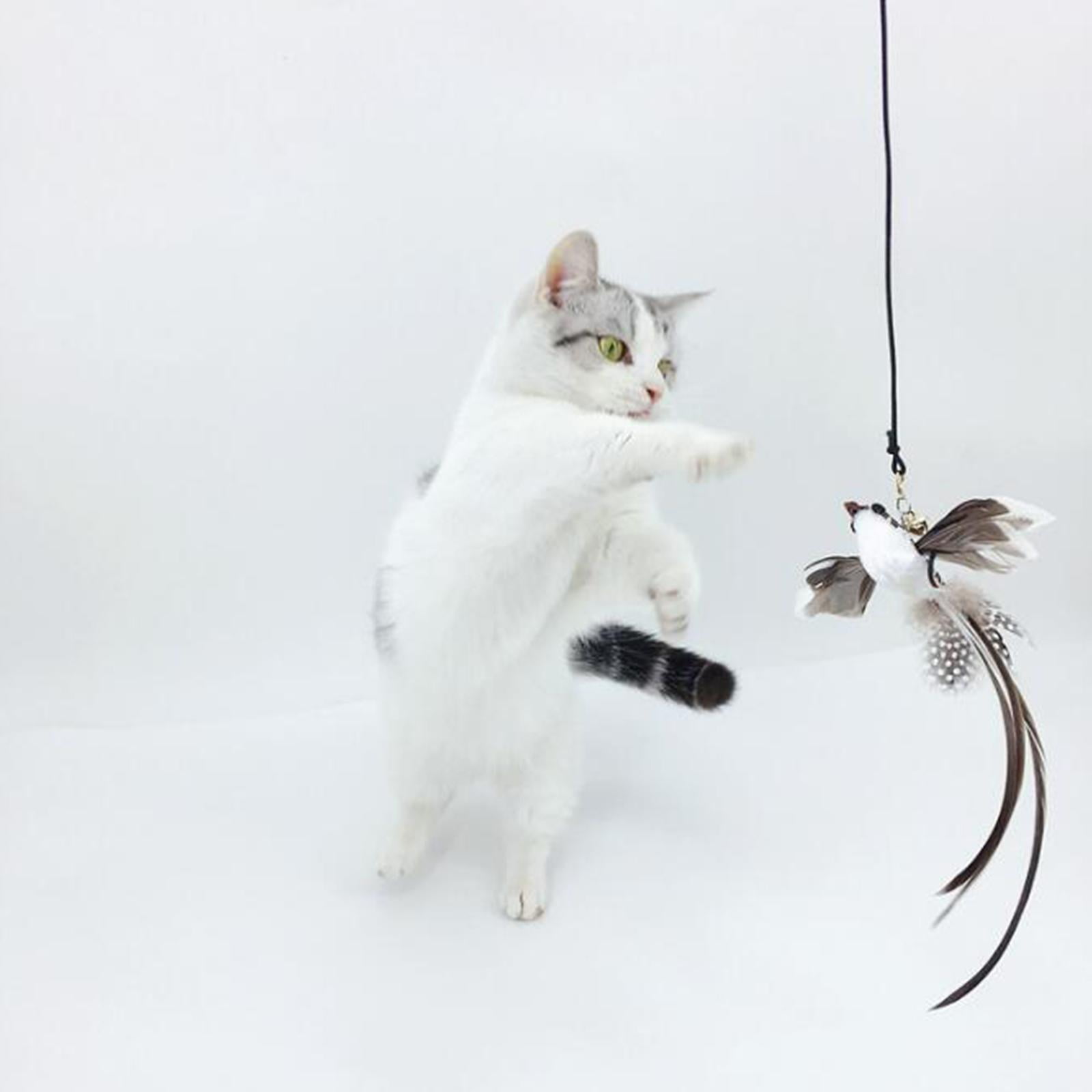 Cat Feather Toy Cat Teaser Scratching Long Stick with Bell Exerciser ...