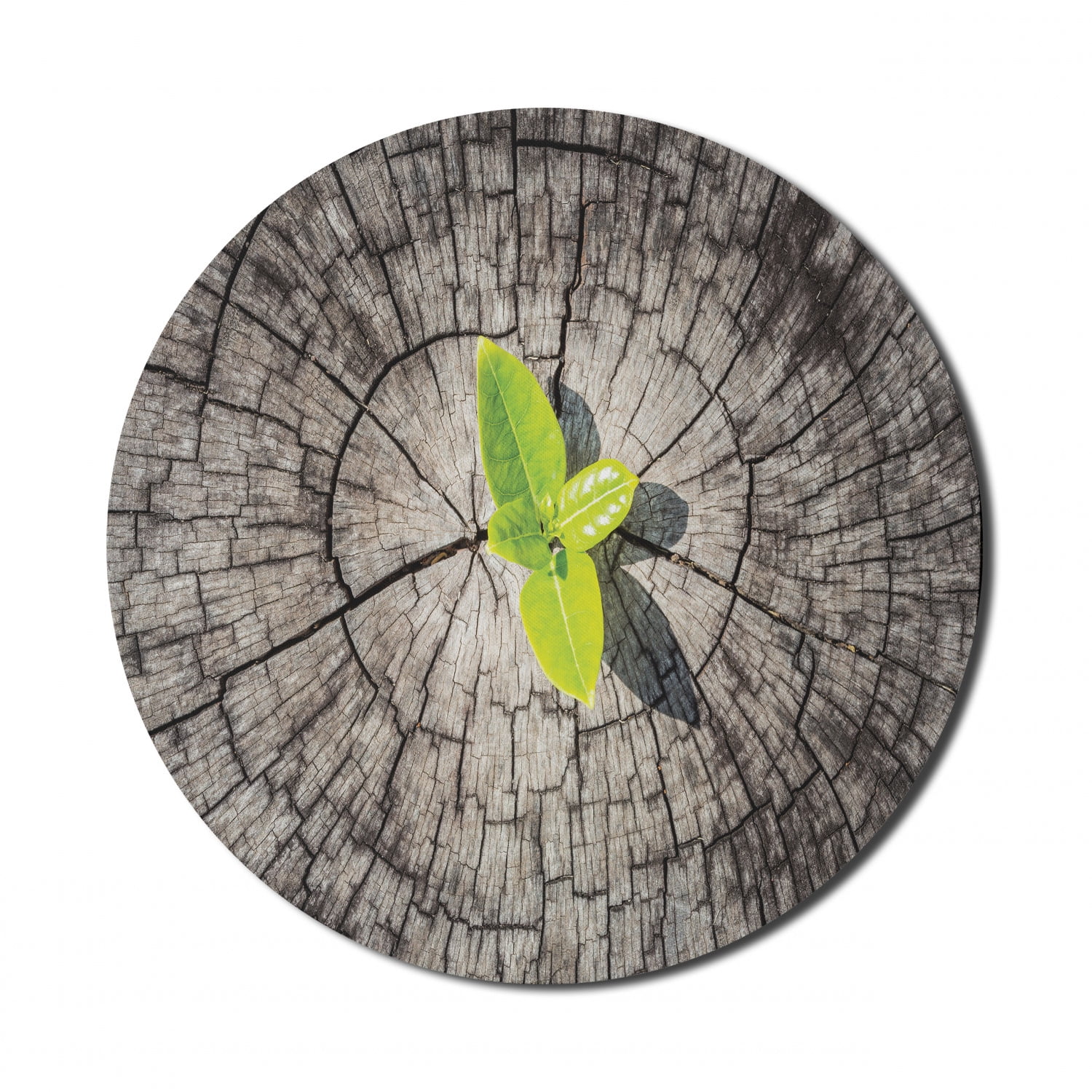 Tree of Life Mouse Pad for Computers, Dried Earth with Last Bush Saving ...