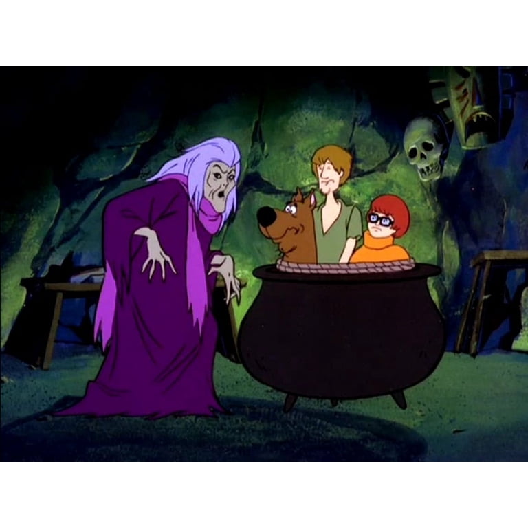 Scooby Doo Which Witch Is Which Dvd
