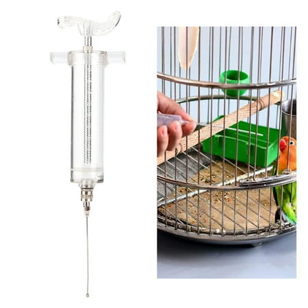 Birds Feeding Syringe Birds Crop Syringe Feeding Syringe Birds Hand ...