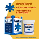 Blue Star Anti-Itch Medicated Ointment, Hydrocortisone and Steroid-Free ...