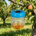 Hanging Outdoor Wasp Yellow Jacket Trap, Weather Resistant Fly Insect ...