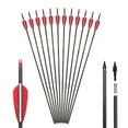 Carbon Arrow 29 Inch 12-Pack Hunting Arrows Spine 400 for 30-65lb Bows ...