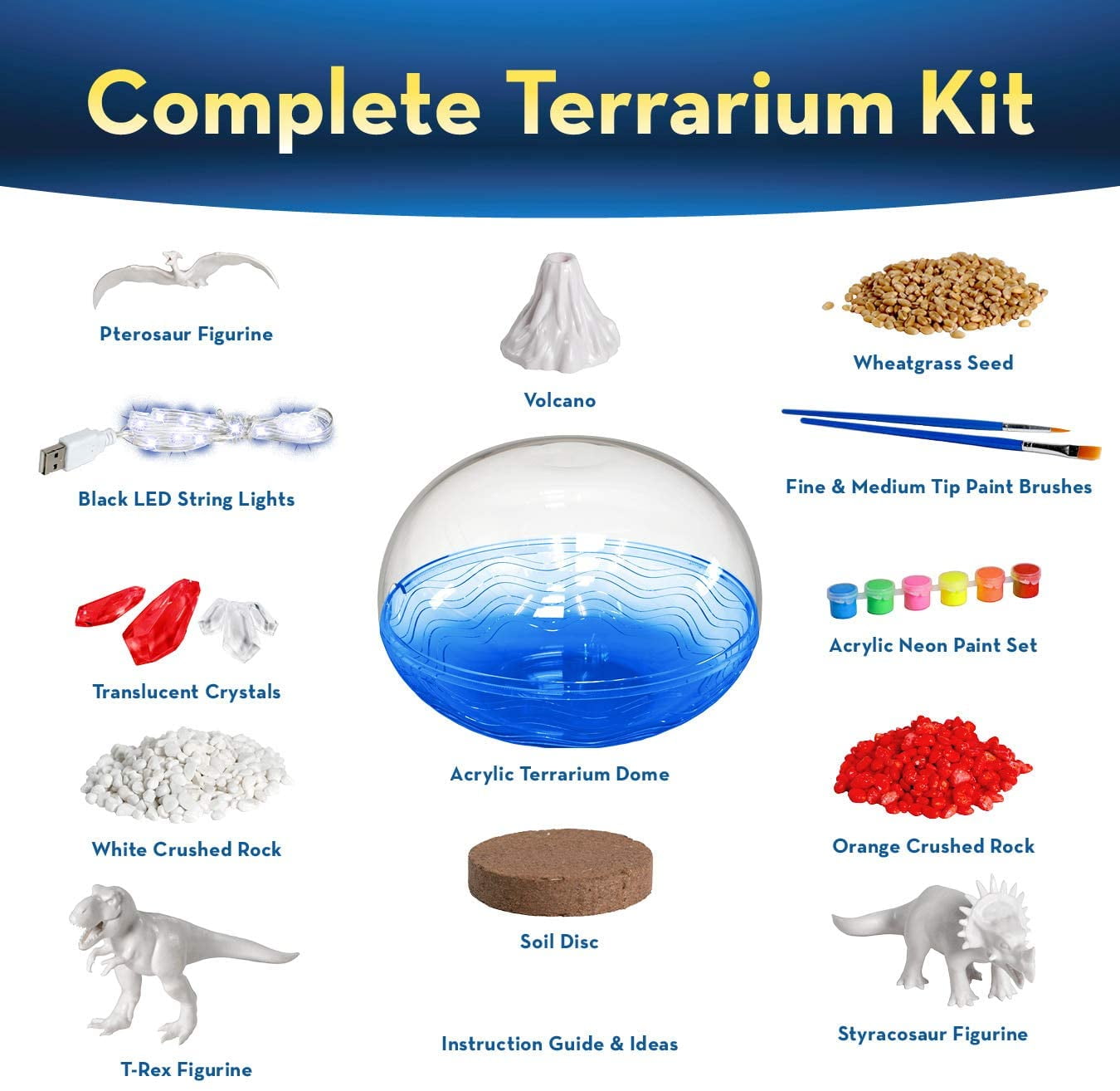 Food Chain Terrarium Projects
