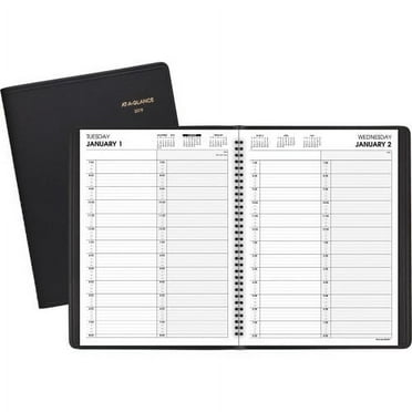 At-A-Glance Professional Daily Appointment Book - Walmart.com