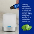 SpaRoom Menthol Essential Oil Blend, Aromatherapy Diffuser, Mentho ...