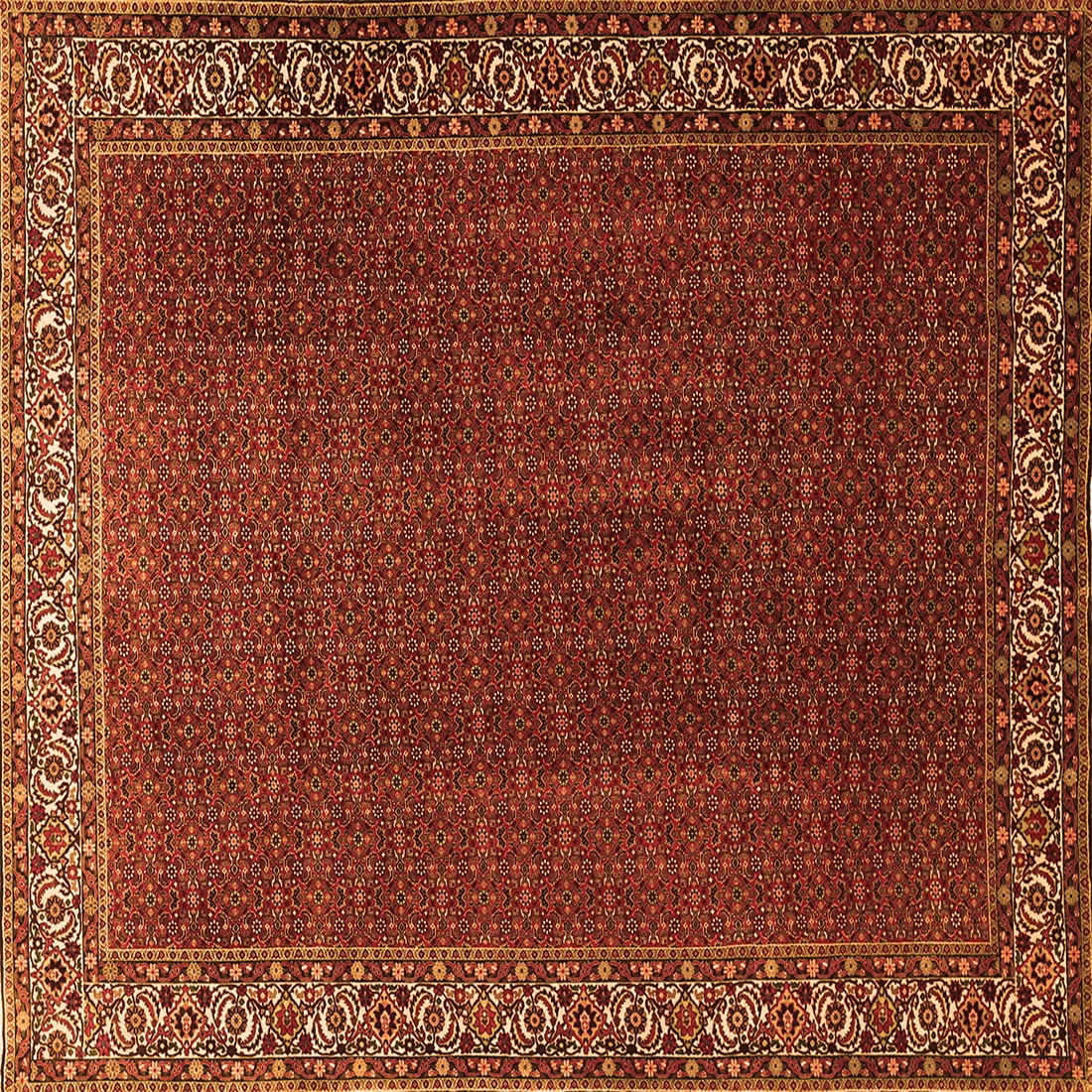 Ahgly Company Indoor Square Persian Orange Traditional Area Rugs, 5 ...