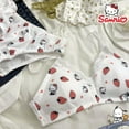 ChunLiang Sanrio Hello Kitty Women Panties Bra Undergarments Suits Sexy ...