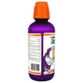 TheraBreath Kids' Gorilla Grape Anti-Cavity Oral Rinse, 16 fl oz ...