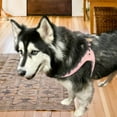 PoisePup Pet Dog Step-in Harness - Bella Rose - Walmart Business Supplies