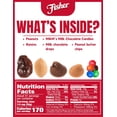 Fisher Snack Indulgent Trail Mix, 38 Ounces, Peanuts, Milk Chocolate ...