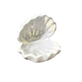 Coastal Bathroom Decor 4.5X4 Inch Ceramic Shell Tray Beach Bathroom ...