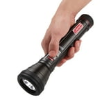 Coleman BatteryGuard 425M LED Flashlight - Walmart.com