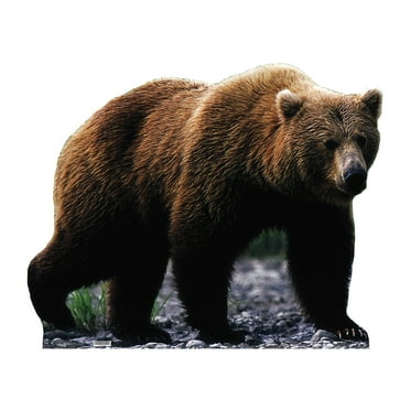 Brown Bear Cardboard Stand-Up, 7ft - Walmart.com