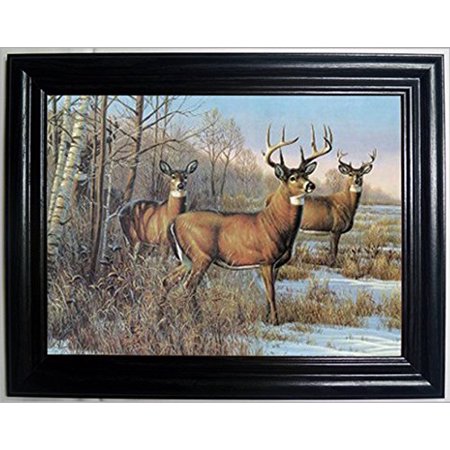 Those Flipping Pictures 4 Deer 3D Framed Wall Art-Lenticular Technology ...