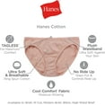 Hanes Womens Cotton Briefs Underwear 10 Pack Brief Assorted 1 6 Us