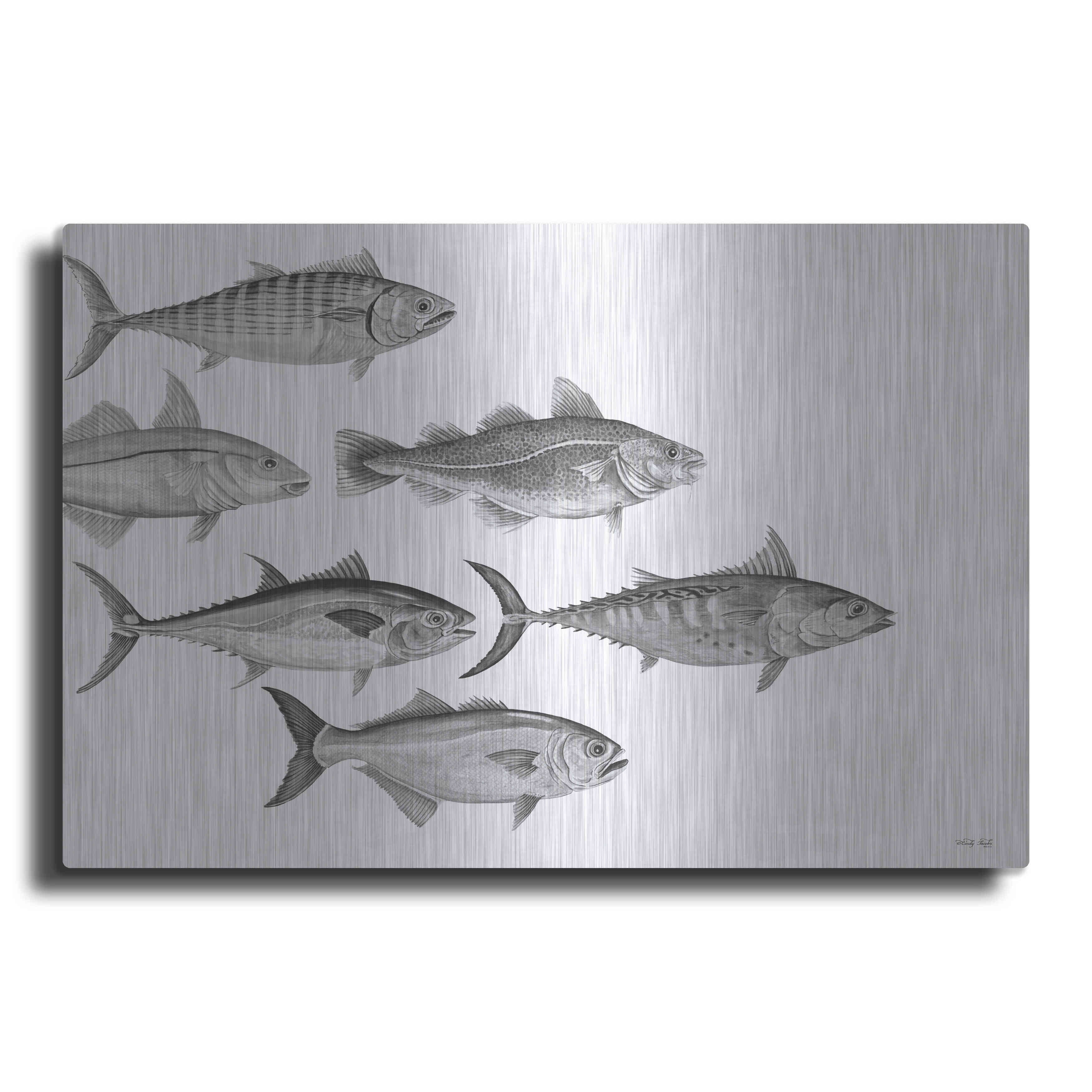 Luxe Metal Art 'Variety of Fish I' by Cindy Jacobs, Metal Wall Art, 16 ...