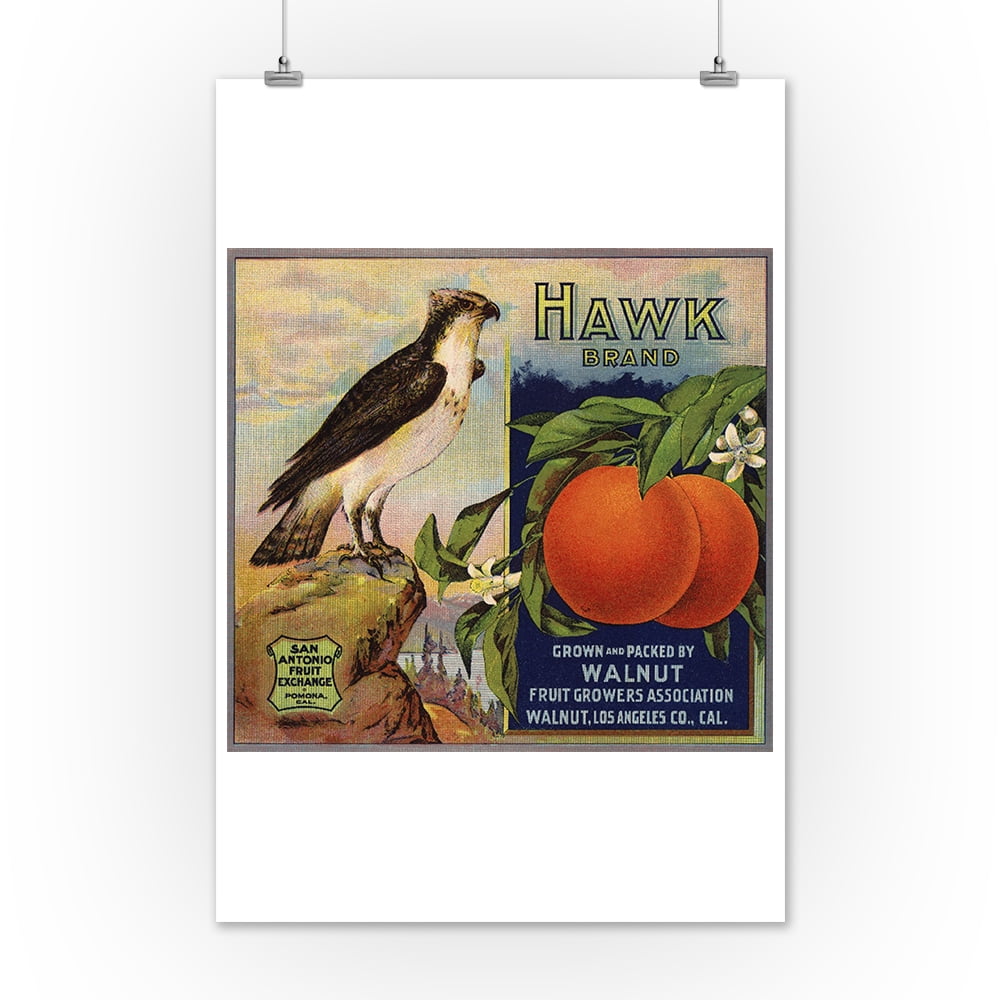 Hawk Brand - Walnut, California - Citrus Crate Label (12x18 Art Print ...