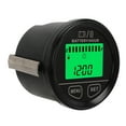 Battery Monitor 12V to 24V Auto Identification Positive Negative Timing ...