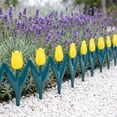 6PCs Tulip Shape Fence, Garden Borders and Edging Plastic Decorative ...