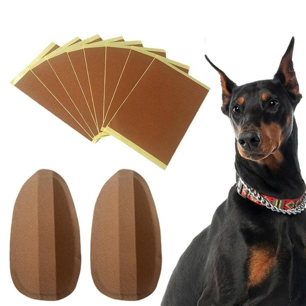 Dog Ear Posting Kit Fixed Doberman Dog Ear Posting Kit Support Ear ...