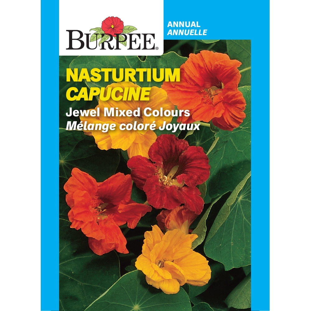 Click here for Burpee Canada Burpee Jewel Mixed Colours Nasturtiu... prices
