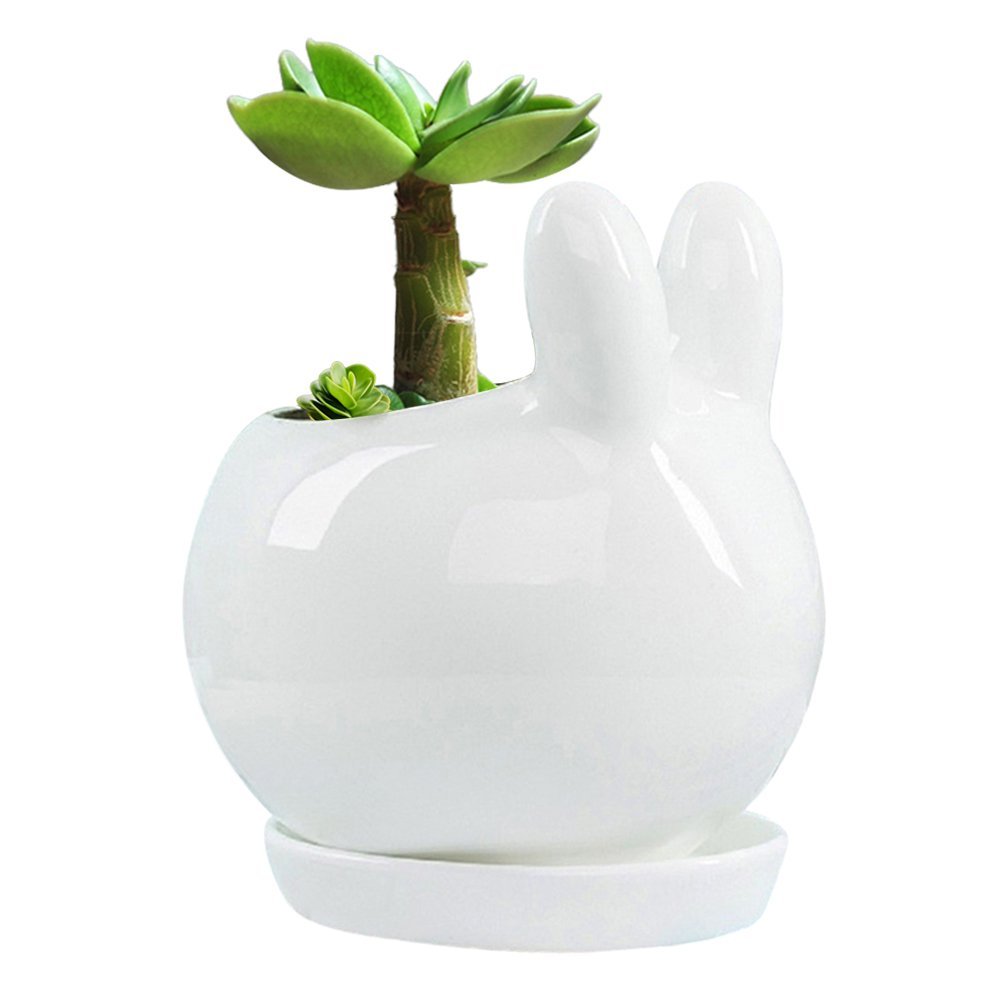 Bunny Rabbit Succulent Planter Fun Animal Plant Pot Ceramic Decorative ...