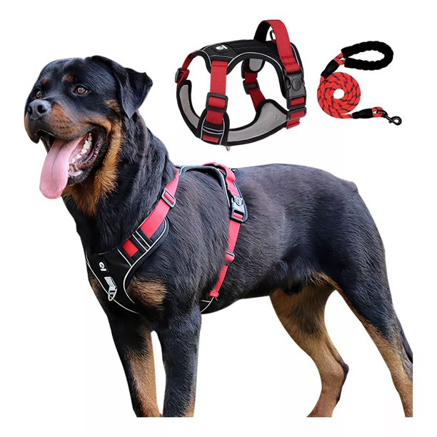 Pecheras Para Perros Mediano Ygrandes Con Cuerda De Tracción | Bodega ...