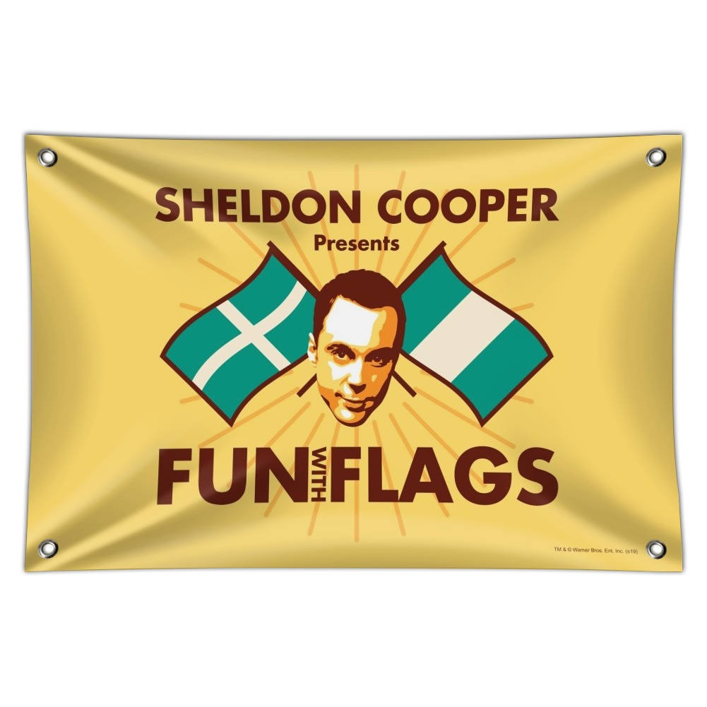 Big Bang Theory Sheldon Cooper Fun with Flags Home Business Office Sign ...