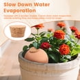 FUYGRCJ 4PCS Plant Self Watering Globes, 430ML Terracotta Self Watering ...