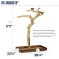 Prevue Pet Parrot Playstand, Large Coffeawood Java Tree Floor Stand ...